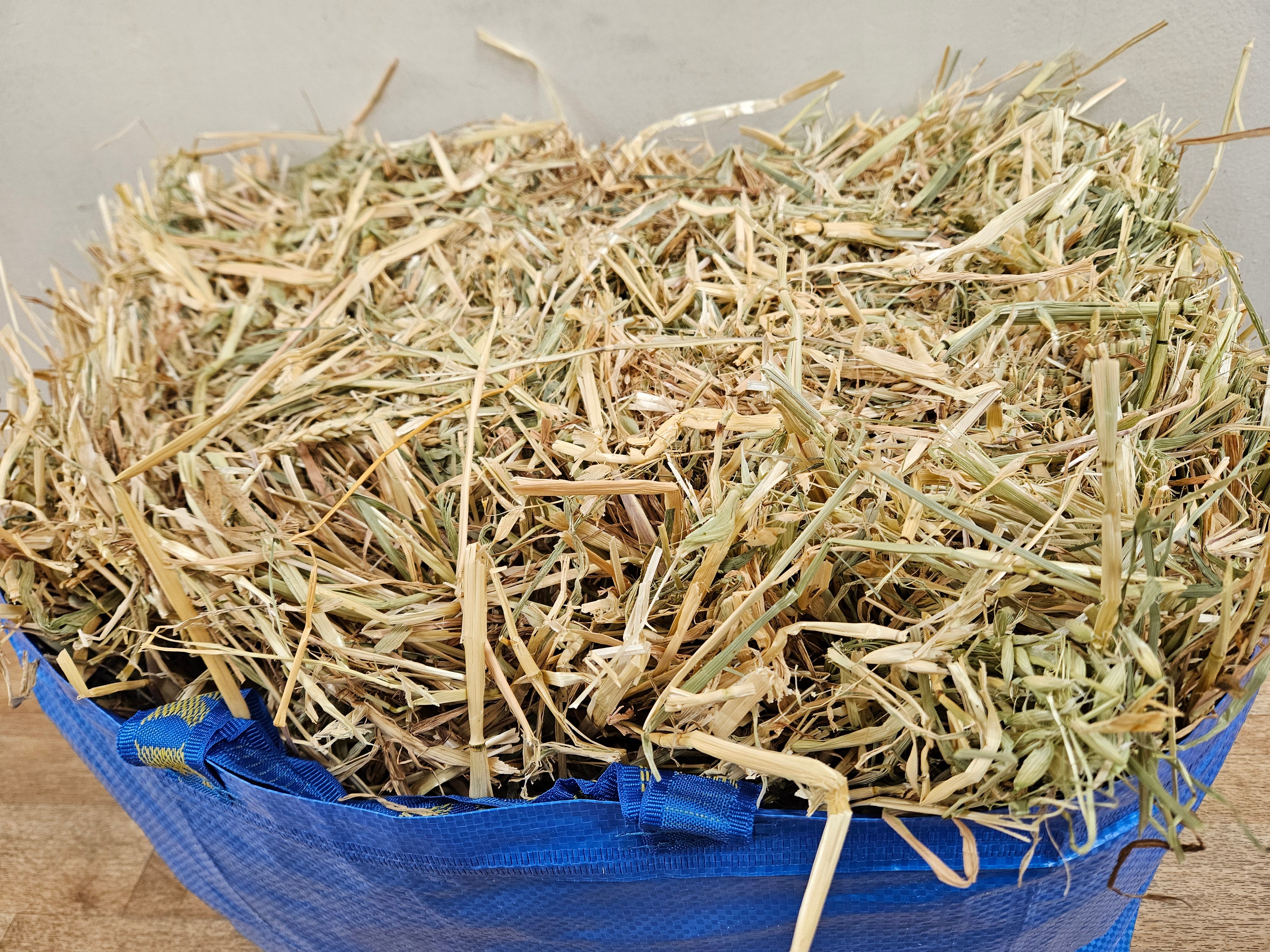 OAT HAY - BIG BAG OF HAY | House Rabbit Society
