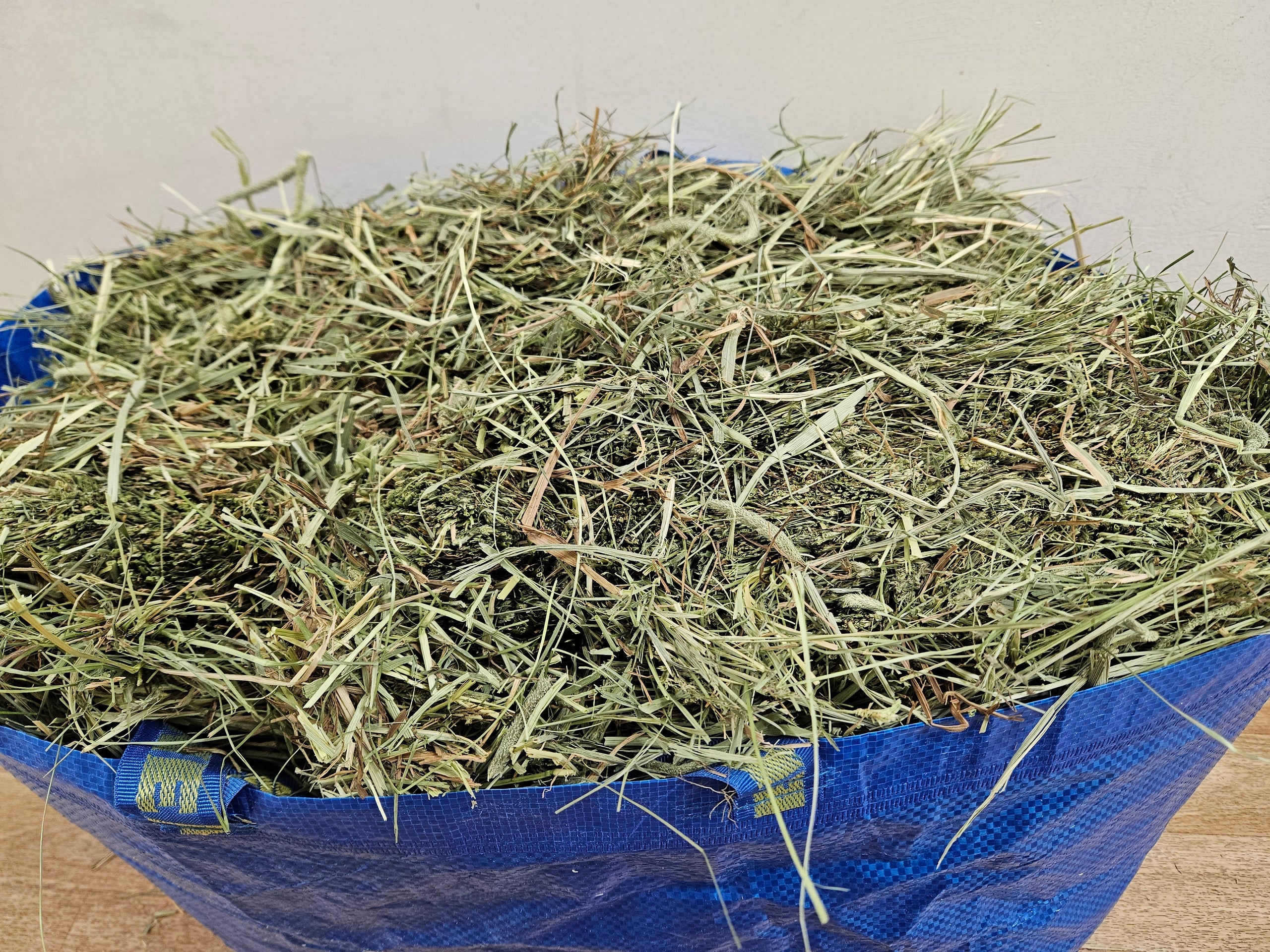 TIMOTHY - BIG BAG OF HAY | House Rabbit Society