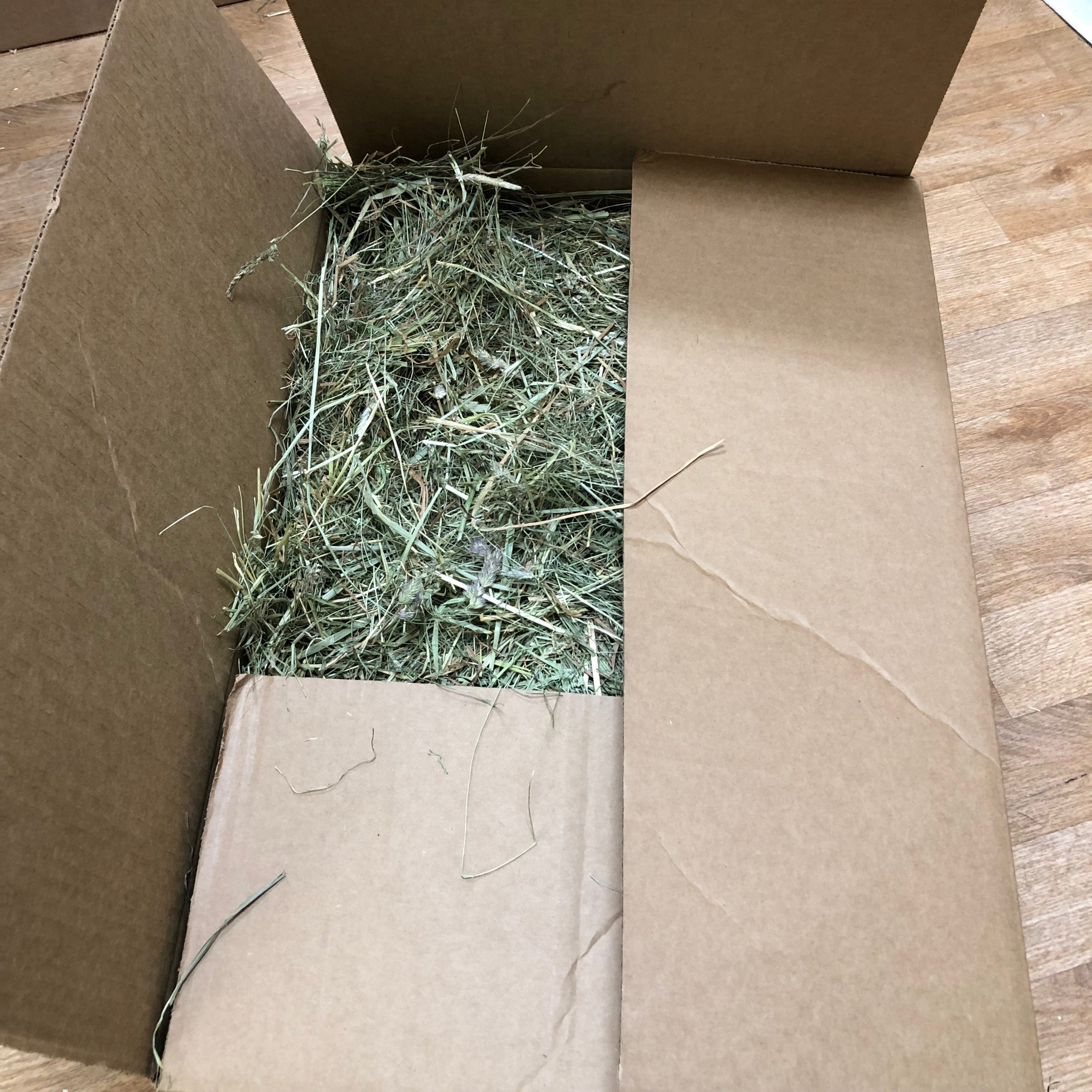Timothy and Orchard Mix - Big Bag of Hay | House Rabbit Society